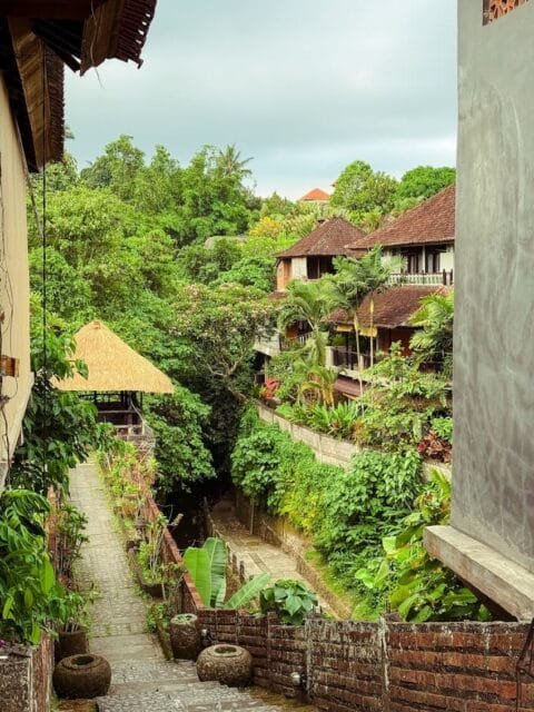 Cosa Vedere a Ubud in 3 giorni: Itinerario nella Natura